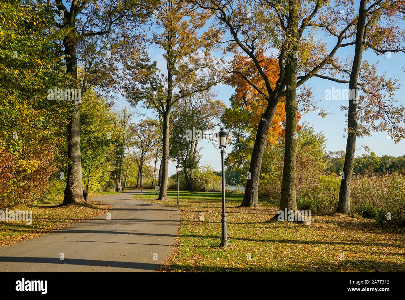 Lonely Alley High Resolution Stock Photography and Images - Alamy