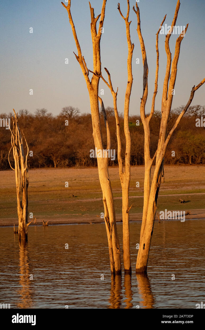 Zimbabwe parks and wildlife hi-res stock photography and images - Alamy