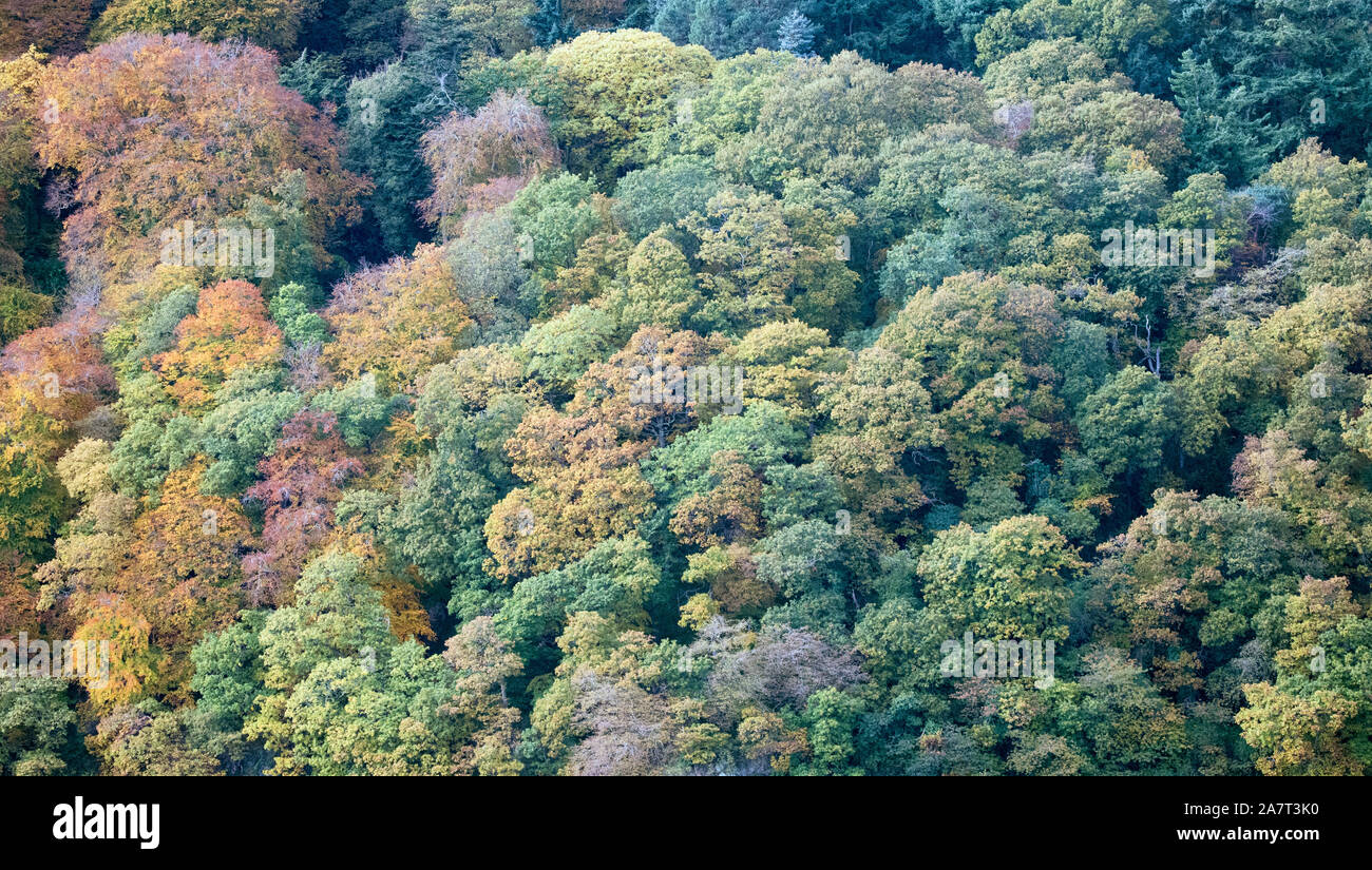 Welsh woodland setting hi-res stock photography and images - Alamy