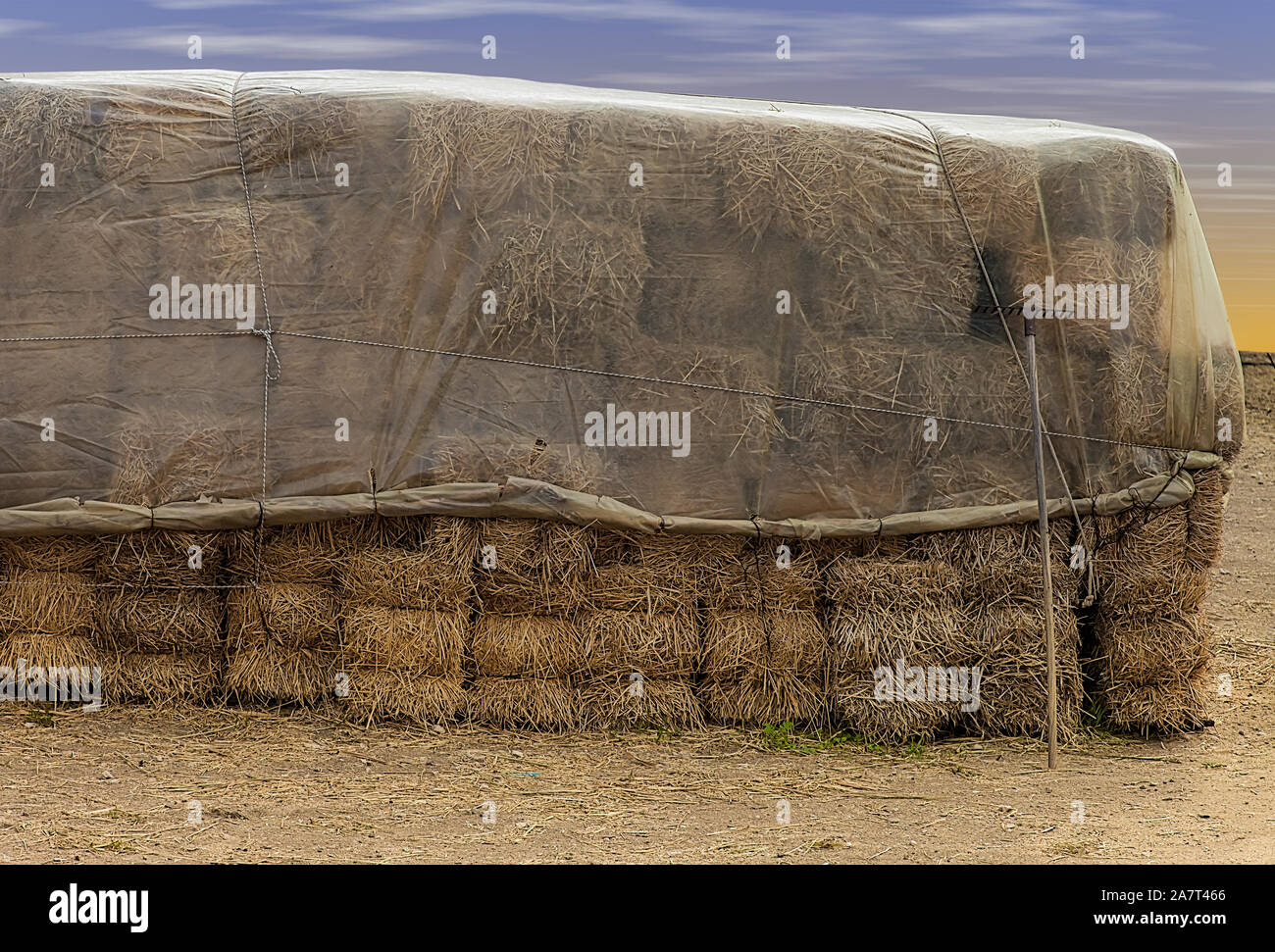 Protecting sheet hi-res stock photography and images - Alamy