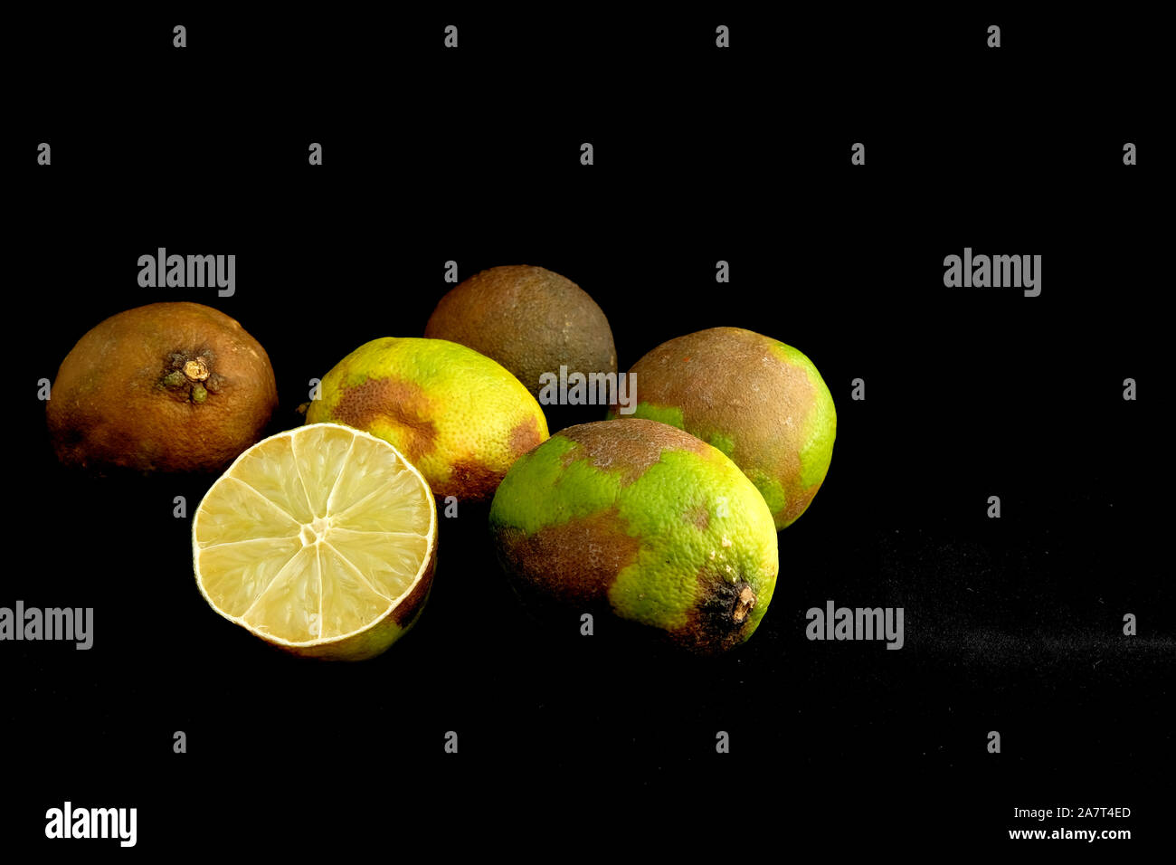Rotten Lime High Resolution Stock Photography and Images - Alamy