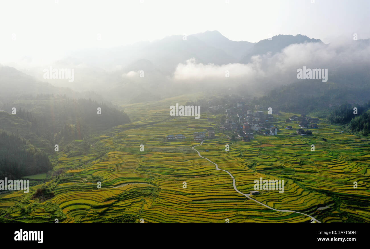 China guizhou hybrid hi-res stock photography and images - Alamy