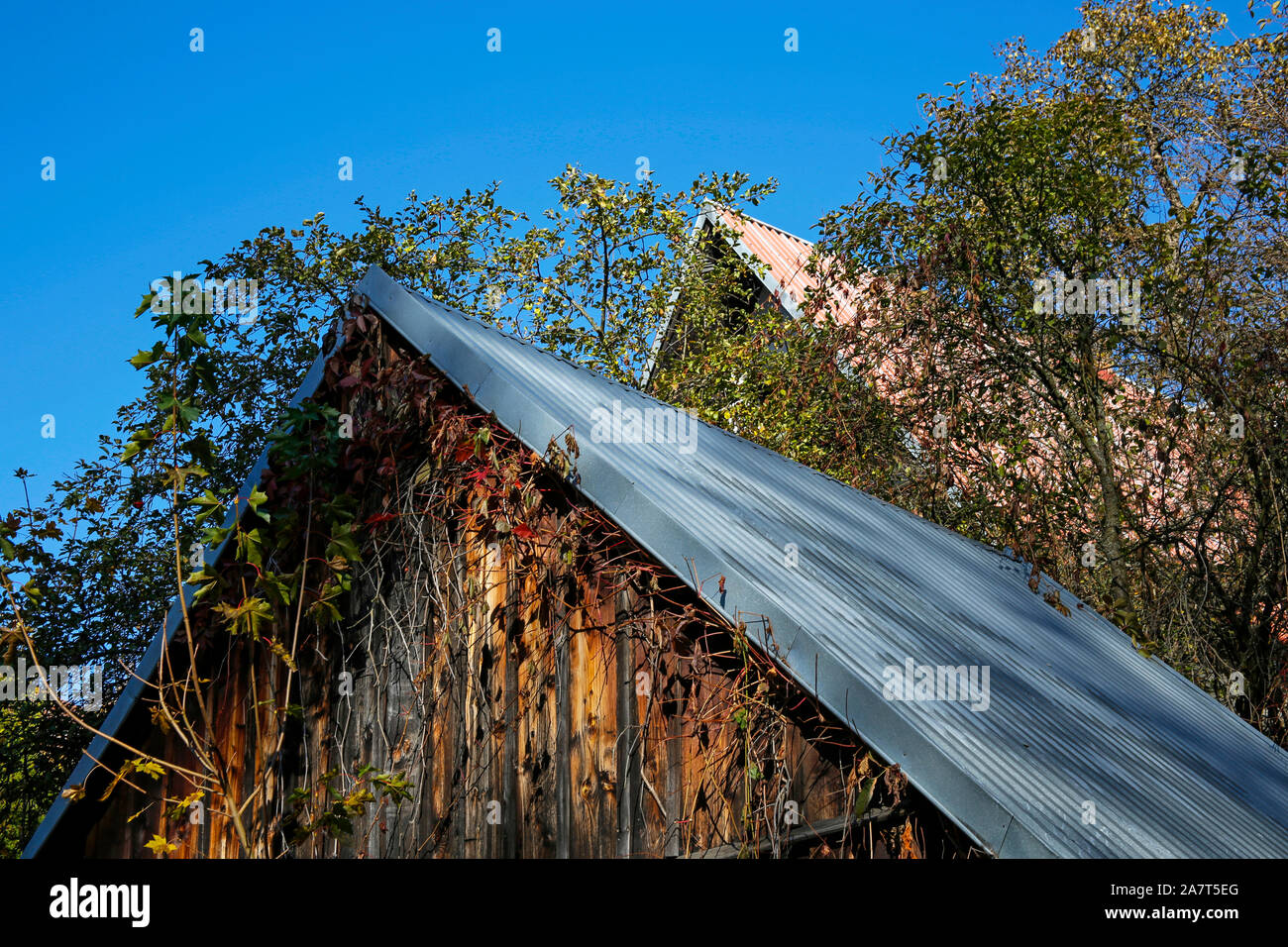 roofs of wooden hut in autumn scenery Stock Photo - Alamy