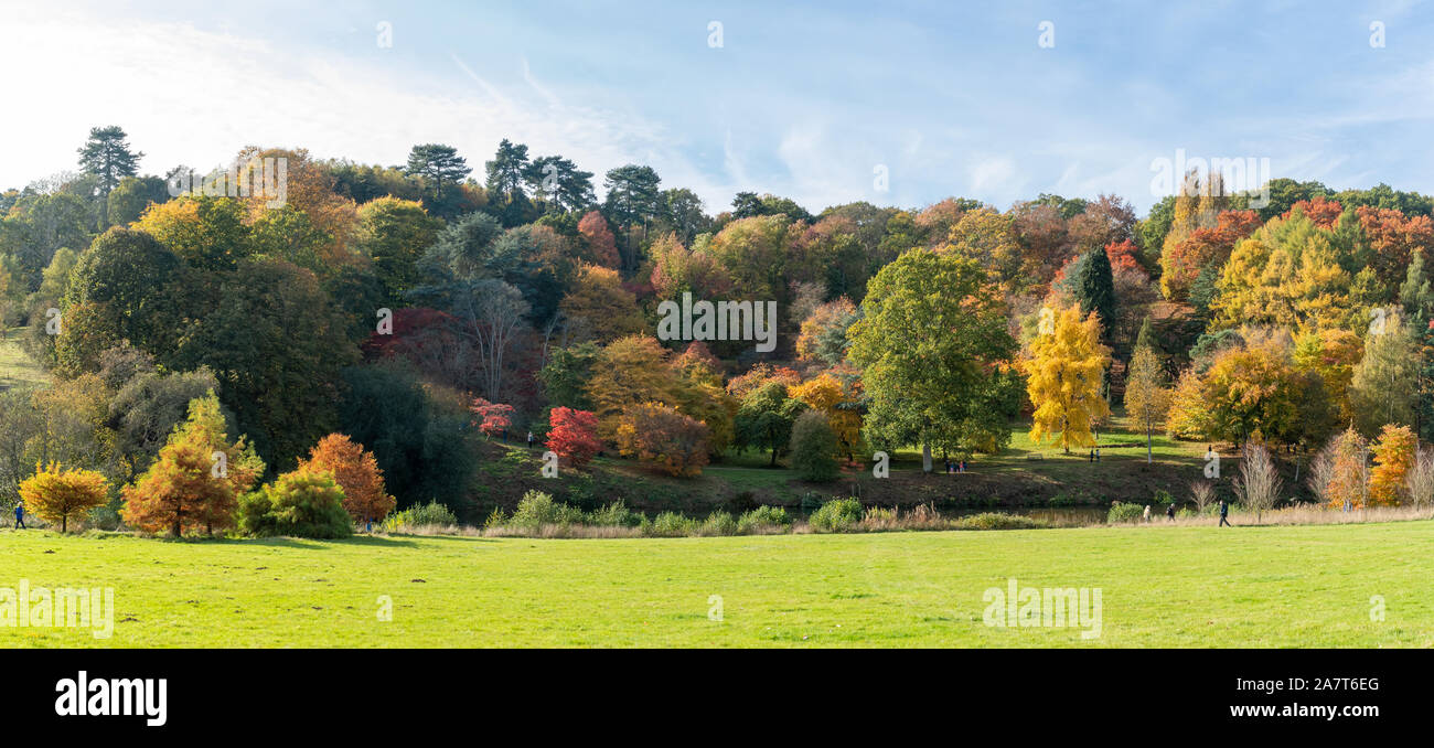 Surrey autumn colours landscape hi-res stock photography and images - Alamy