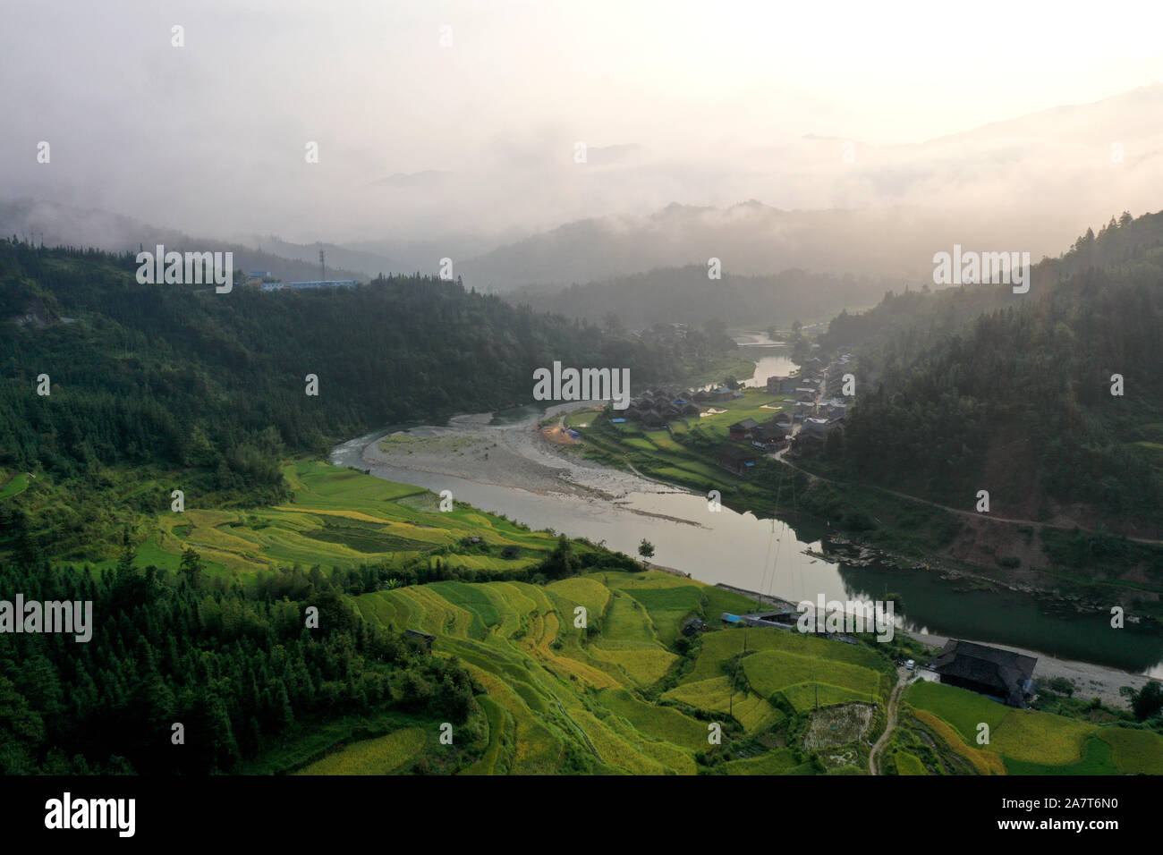 Aerial view of the hybrid rice field in Congjiang county, south-west ...