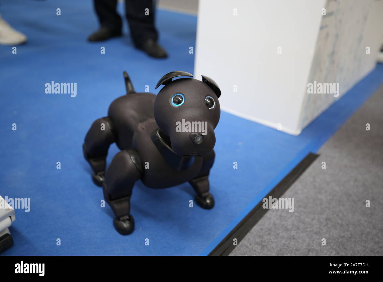 A pet dog-like robot is displayed during the 2019 Word Robot Conference ...