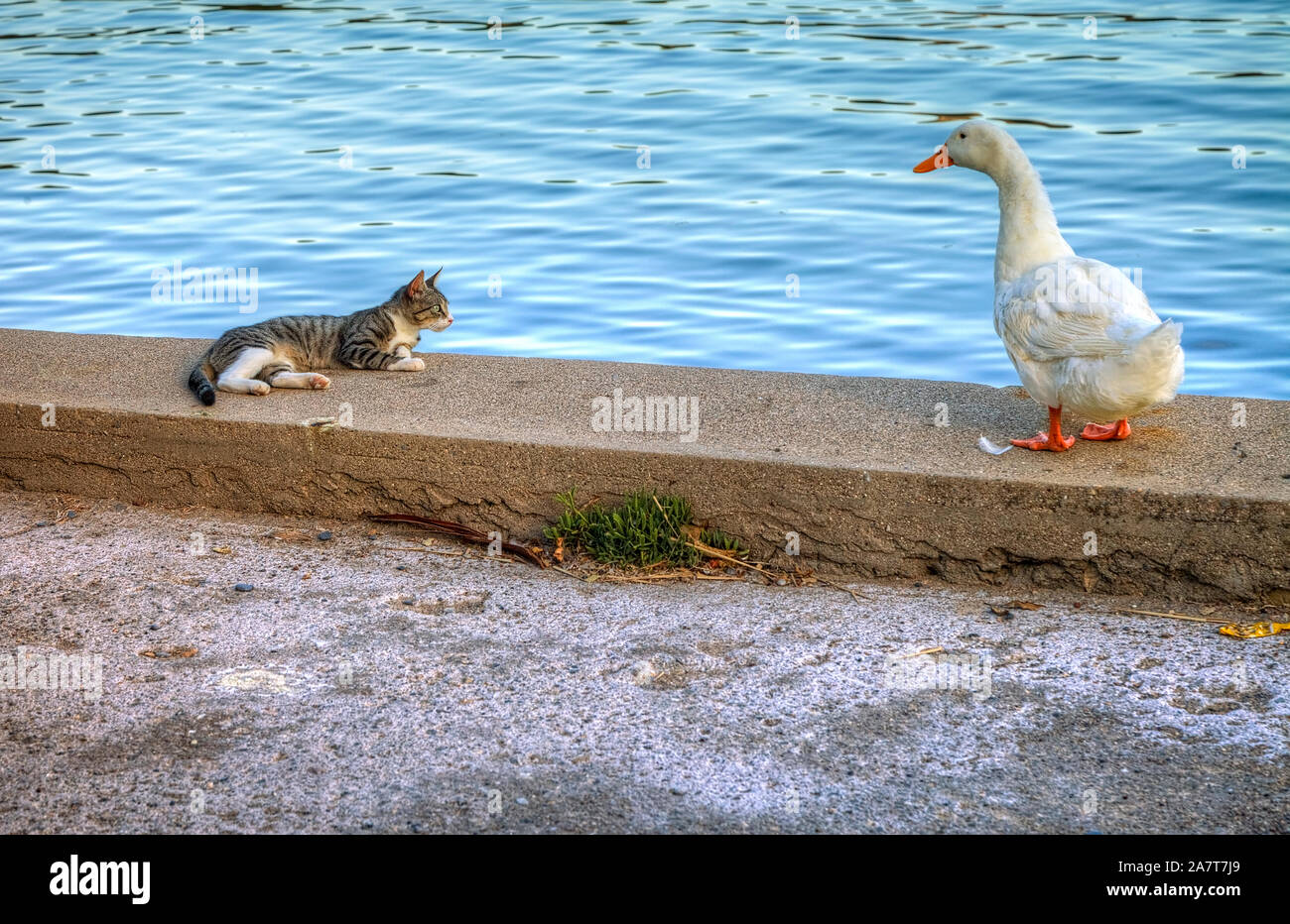 Opposites and profile hi-res stock photography and images - Alamy