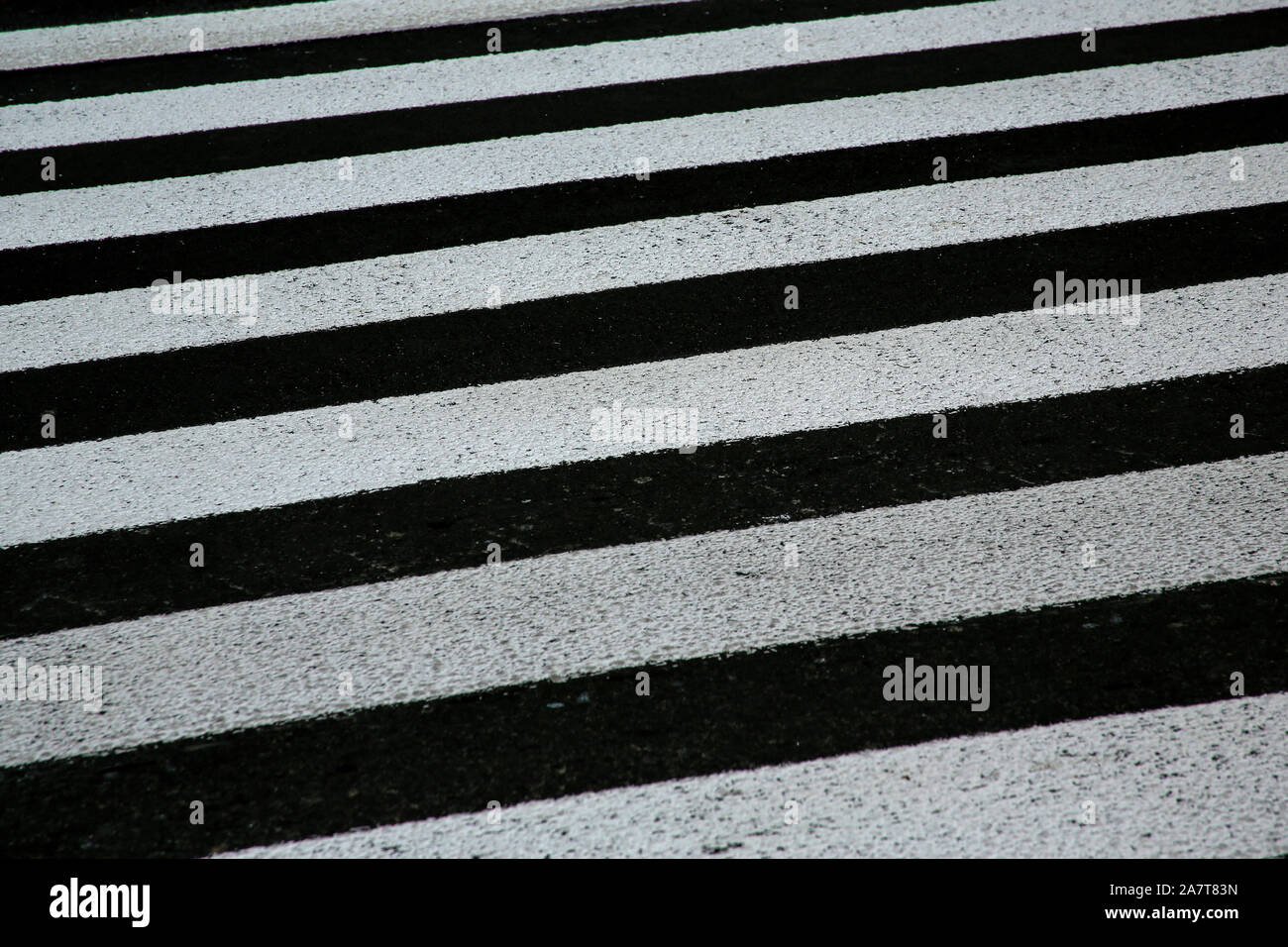 zebra crosswalk on a asphalt road background Stock Photo - Alamy