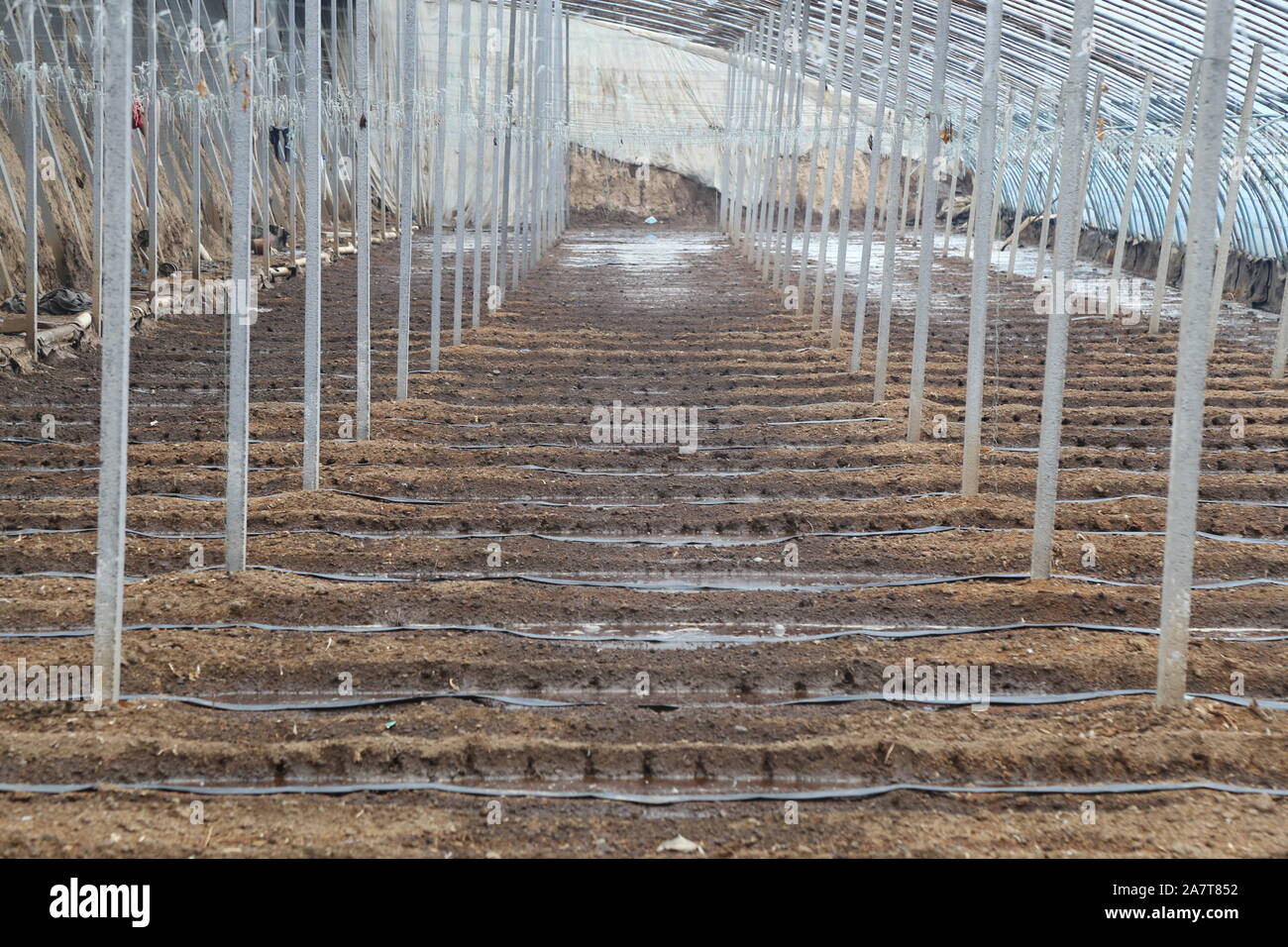 Chinese villagers pump water from the vegetable greenhouses submerged ...