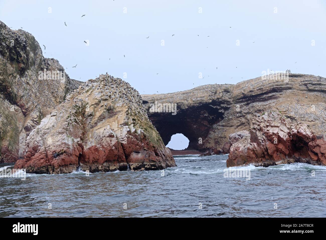 Ballestas islands with birds, seals and sea lions, Peru Stock Photo - Alamy