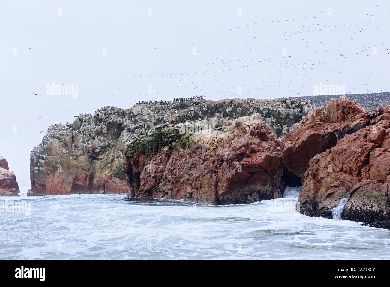 Ballestas islands with birds, seals and sea lions, Peru Stock Photo - Alamy