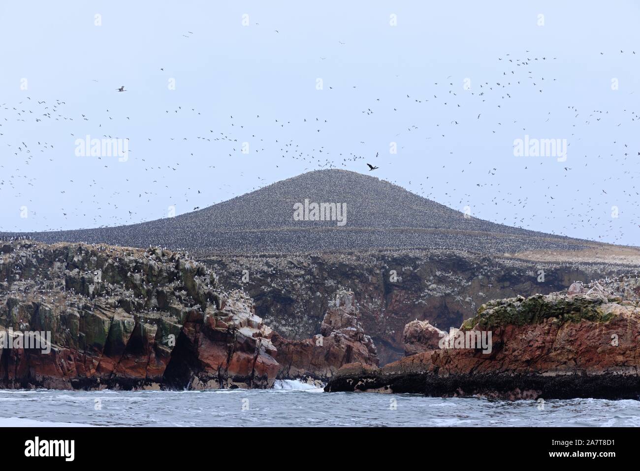 Ballestas islands with birds, seals and sea lions, Peru Stock Photo - Alamy
