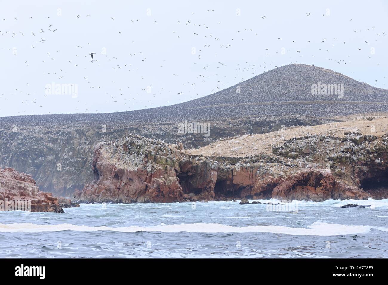 Ballestas islands with birds, seals and sea lions, Peru Stock Photo - Alamy