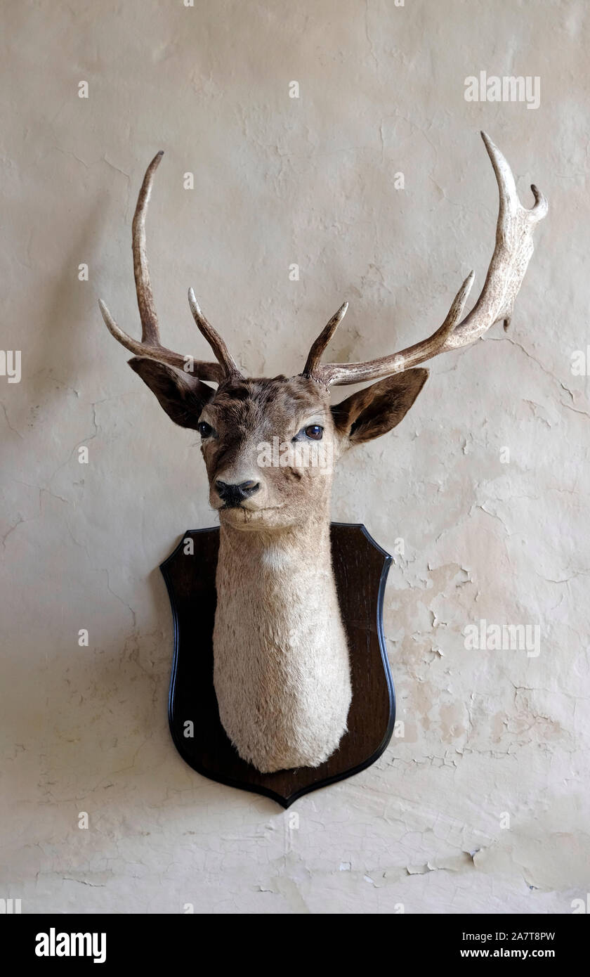 Shield wall hi-res stock photography and images - Alamy