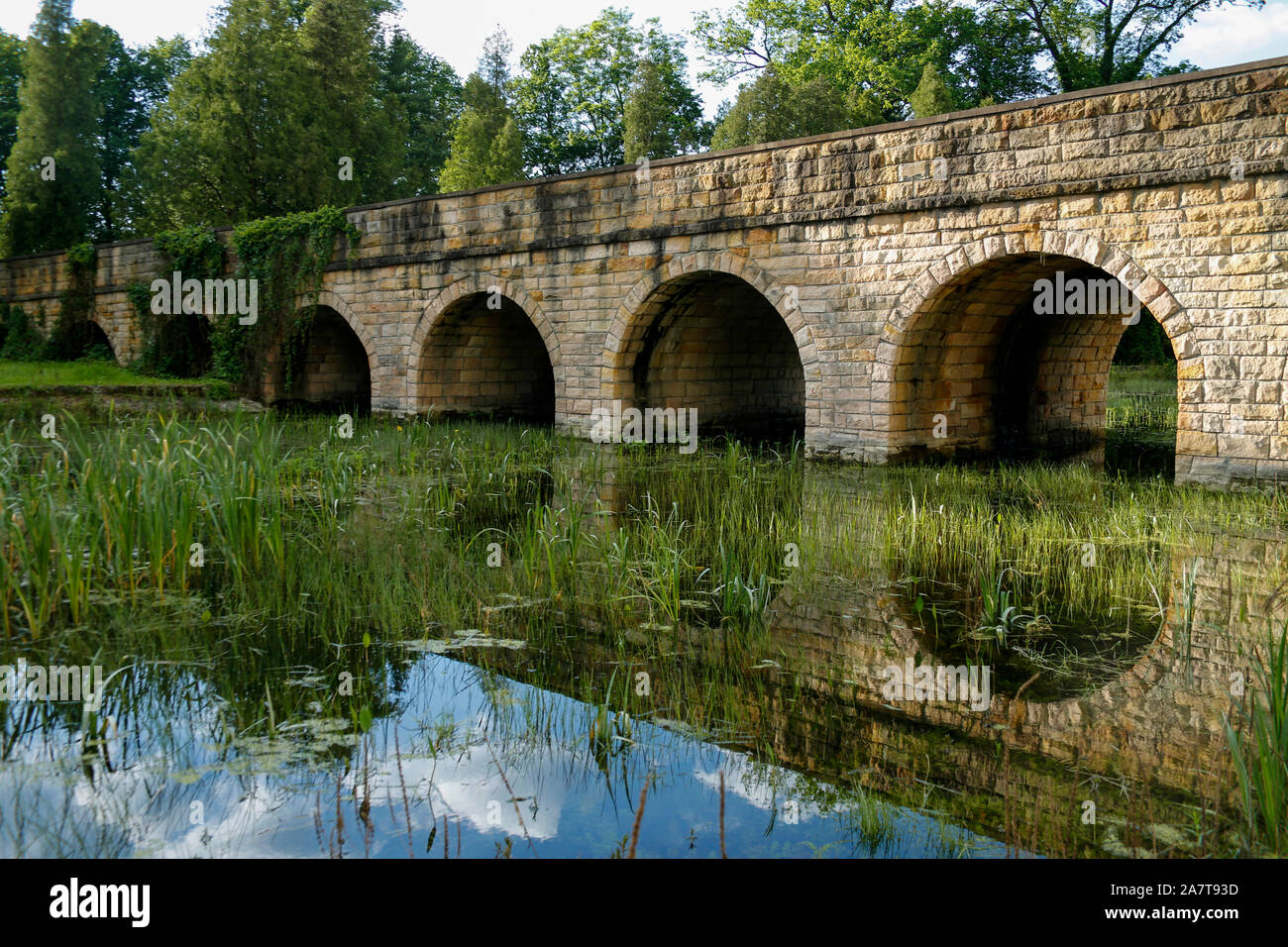 ancient stone bridge over overgrown pond Stock Photo - Alamy
