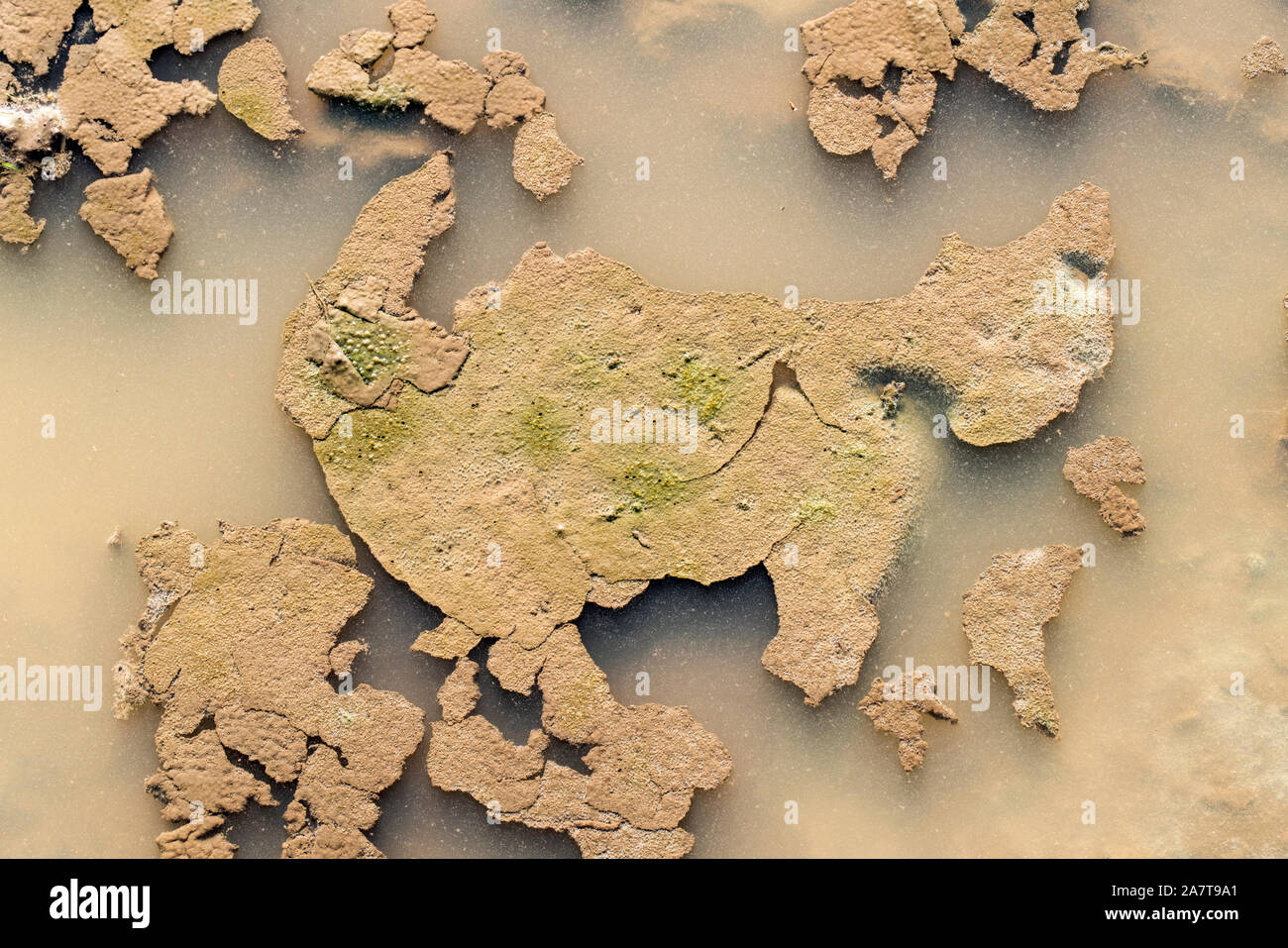 Water Puddles Map High Resolution Stock Photography and Images - Alamy