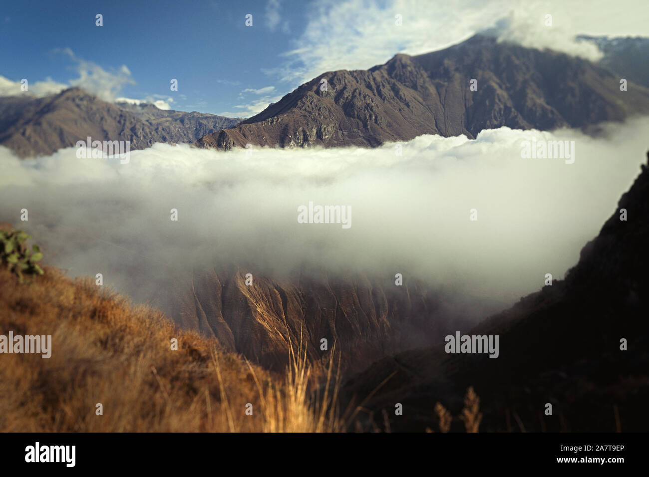The Colca Canyon is a canyon of the Colca River in southern Peru ...