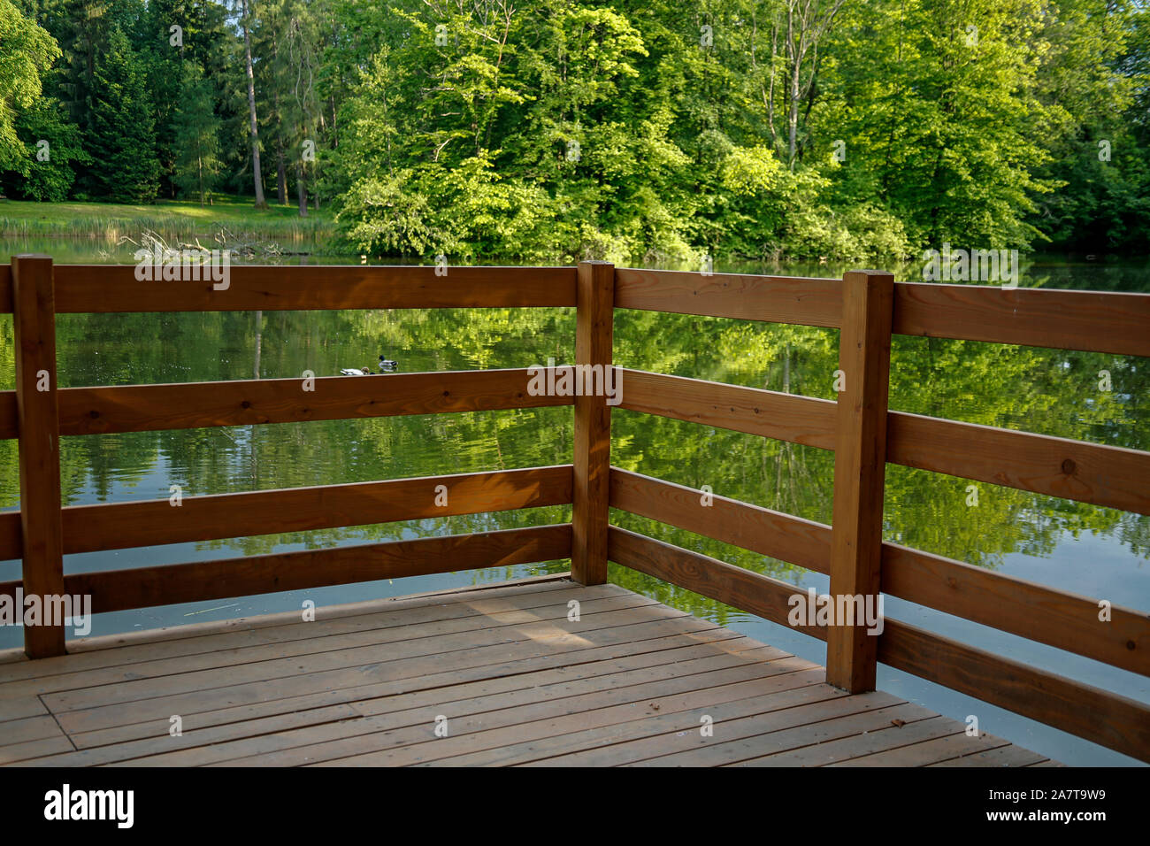 wooden viewing platform over summer lake Stock Photo - Alamy