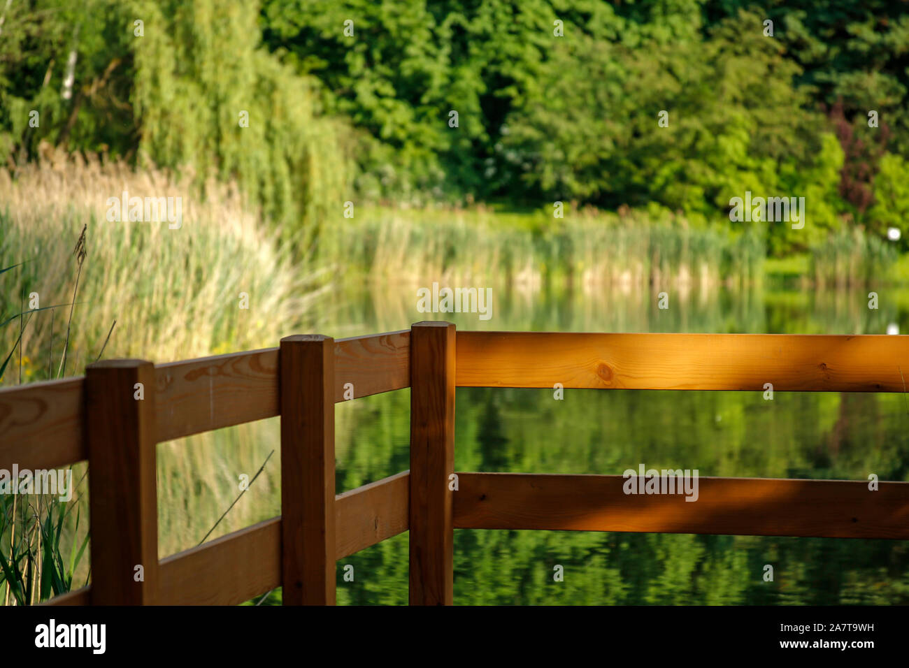 wooden viewing platform over summer lake Stock Photo - Alamy