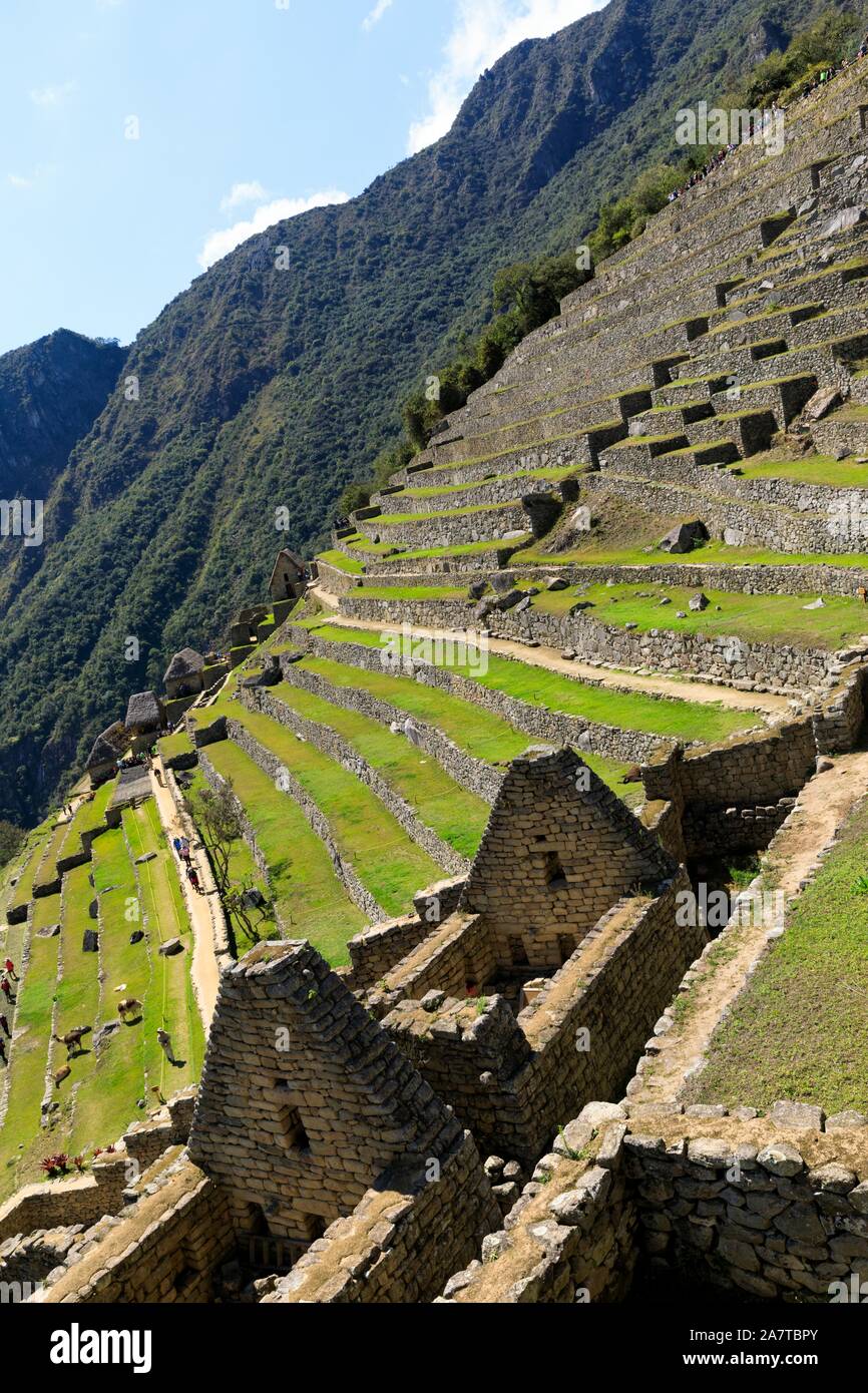 Machu Picchu, Peru is one of the 7 wonders of the world Stock Photo - Alamy