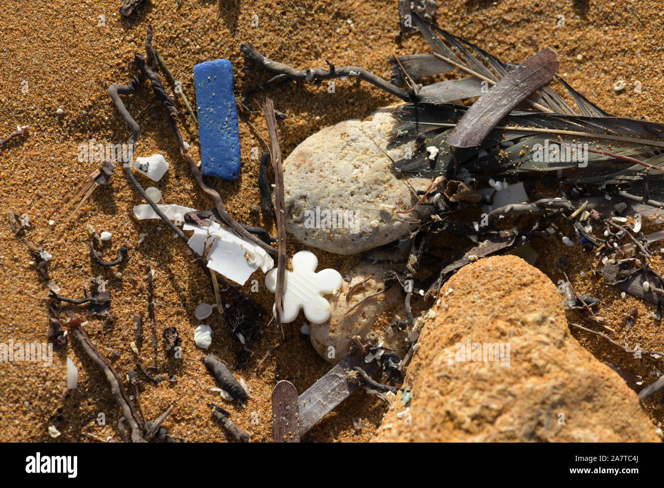 Micro plastics hi-res stock photography and images - Alamy