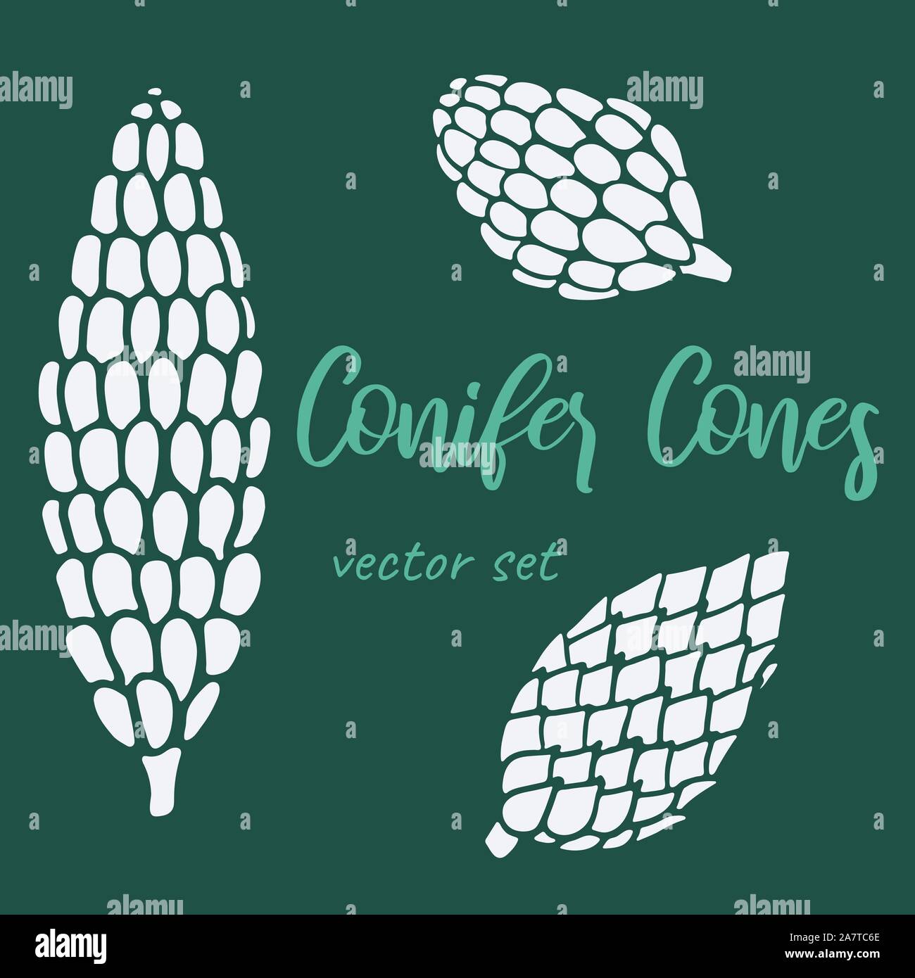 Conifer cone set Stock Vector Images - Alamy