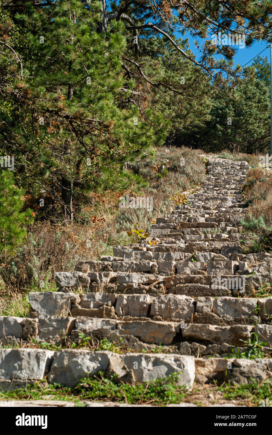 Stone staircase which rises towards the forest of Mount Faito Stock ...