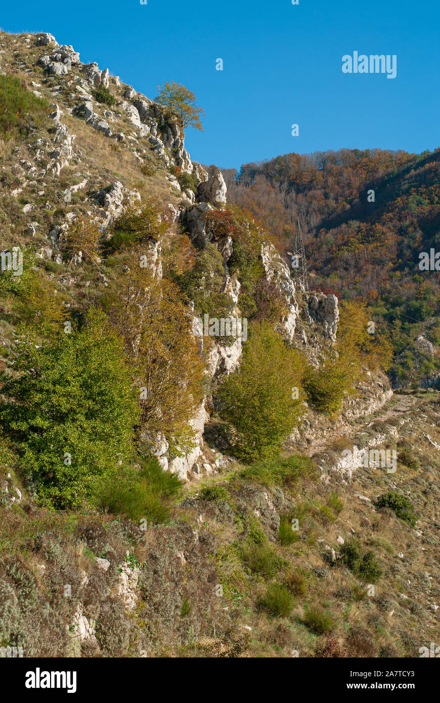 Upper and rocky part of Mount Faito, covered by vegetation Stock Photo ...