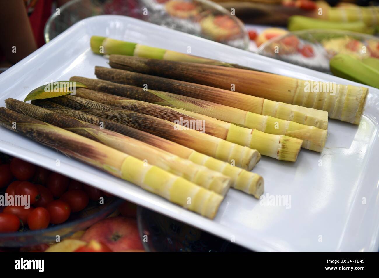 Tourists use fodder and fruits to make a birthday cake for giant panda ...
