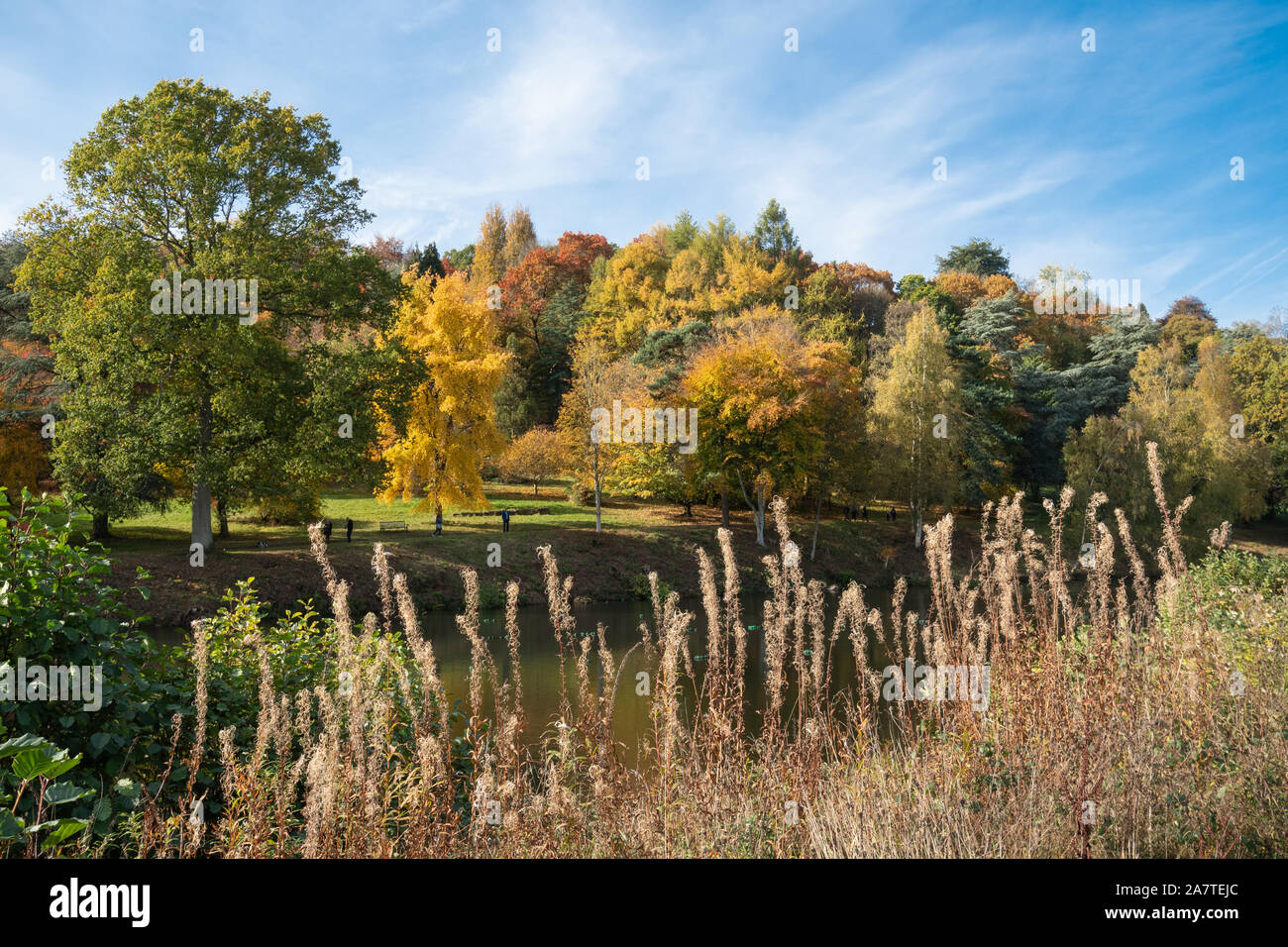 Surrey autumn colours landscape hi-res stock photography and images - Alamy