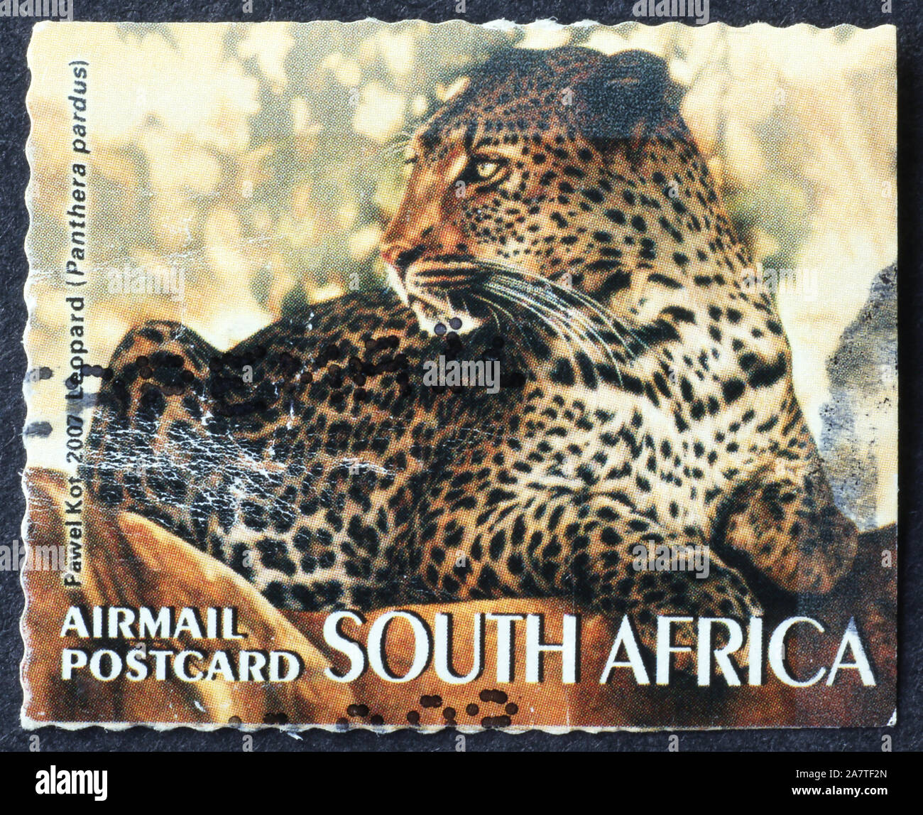 South africa postage stamp hi-res stock photography and images - Alamy