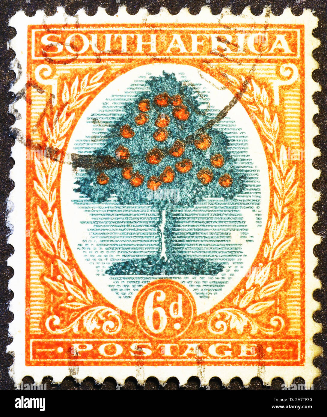 Orange tree on old southafrican postage stamp Stock Photo - Alamy