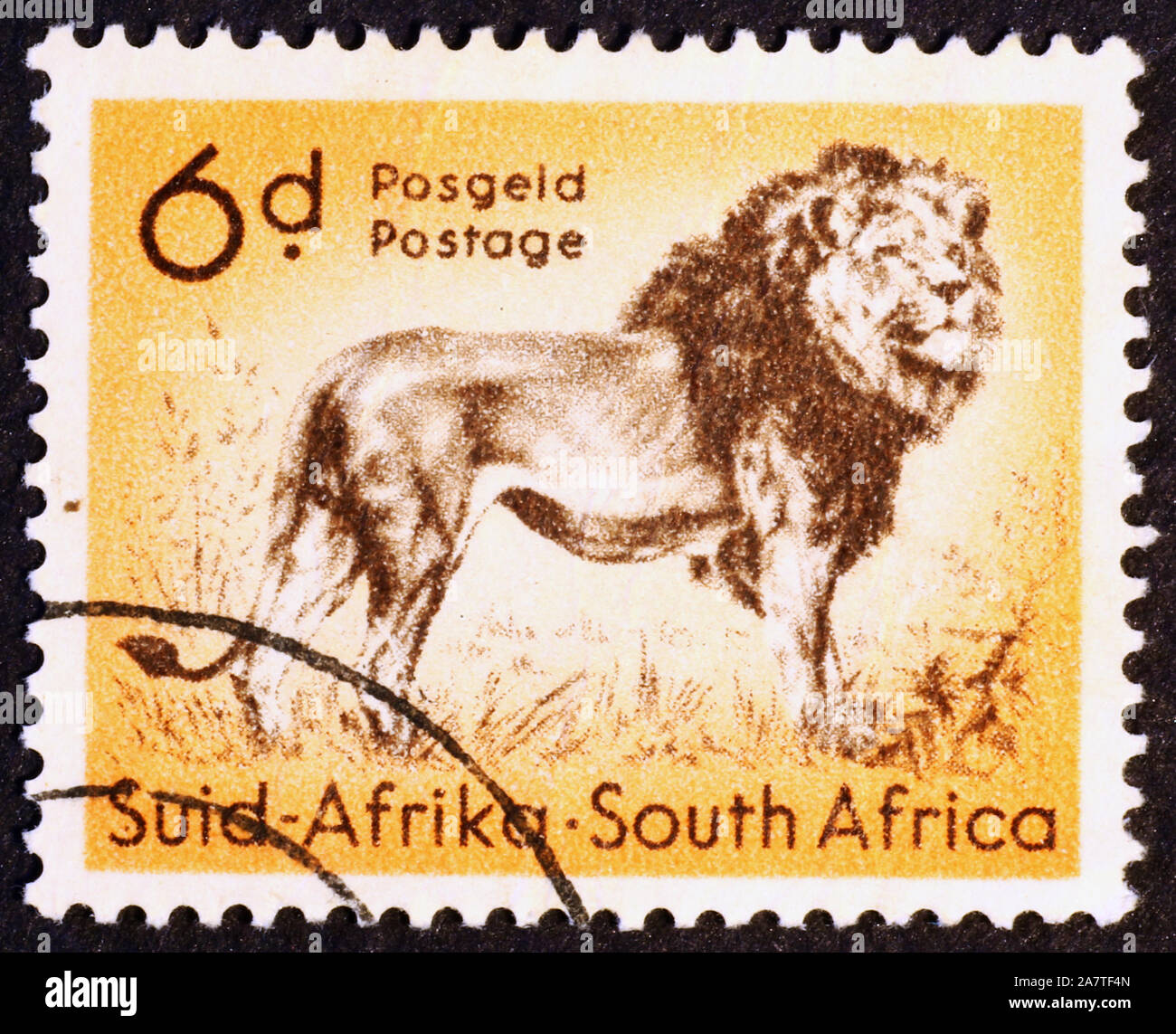 Vintage stamp of South Africa with a lion Stock Photo - Alamy