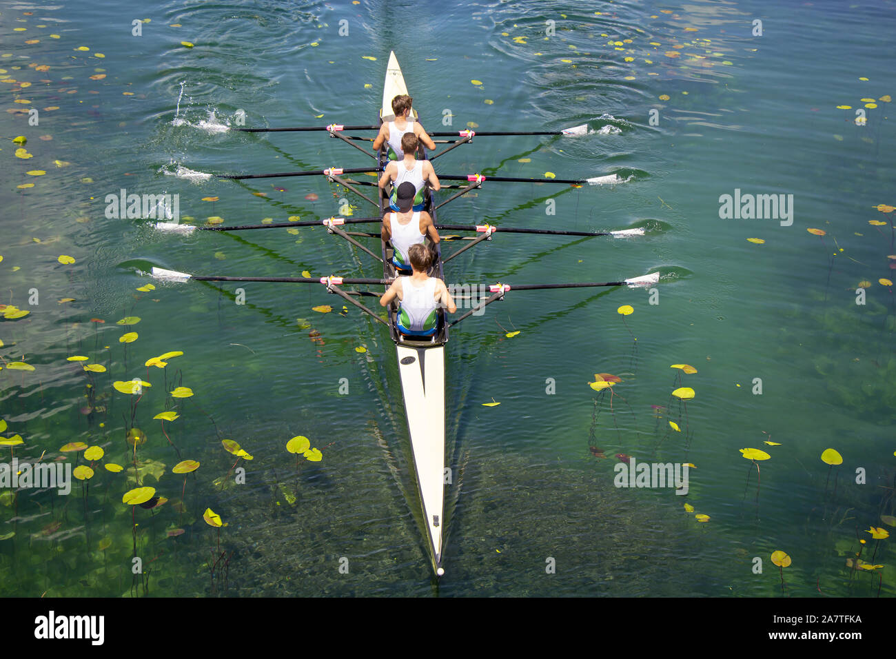 Men's quadruple rowing team on turquoise green lake Stock Photo - Alamy