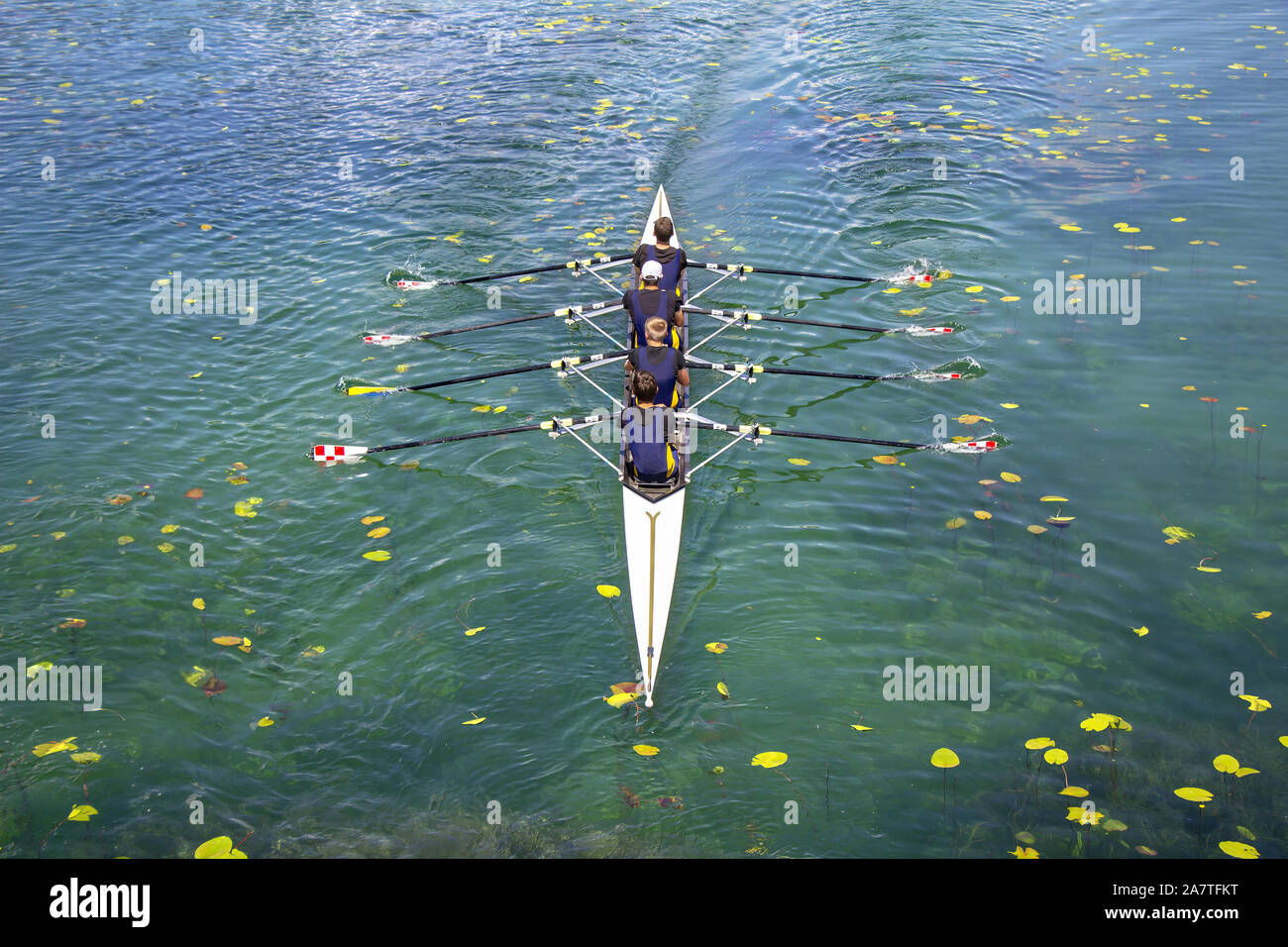 Men's quadruple rowing team on turquoise green lake Stock Photo - Alamy