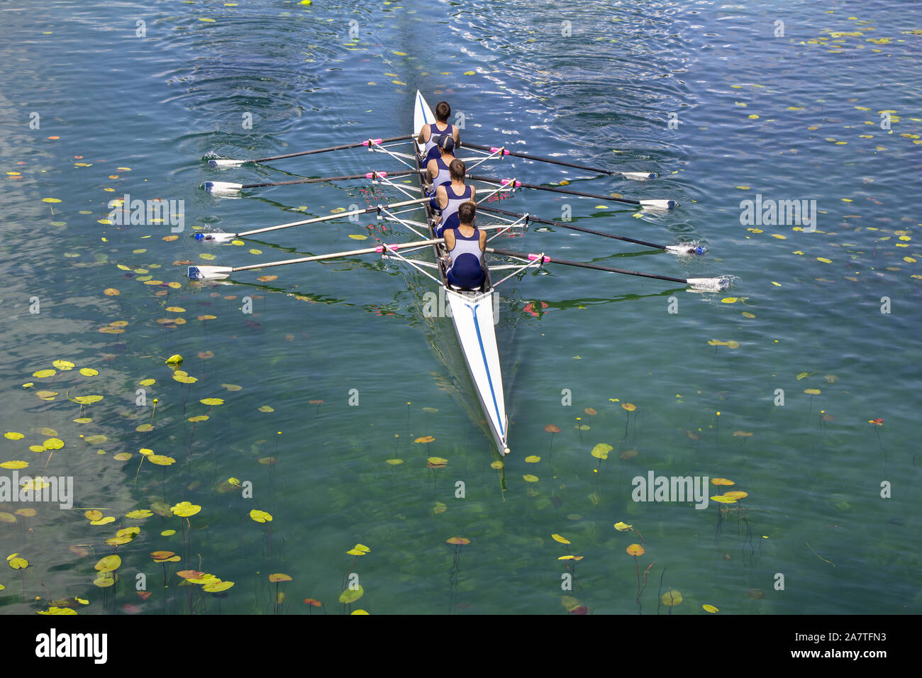 Men's quadruple rowing team on turquoise green lake Stock Photo - Alamy