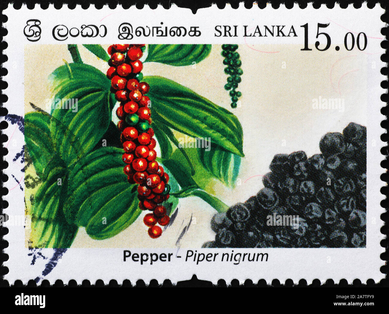 Sri lanka postage stamp hi-res stock photography and images - Alamy