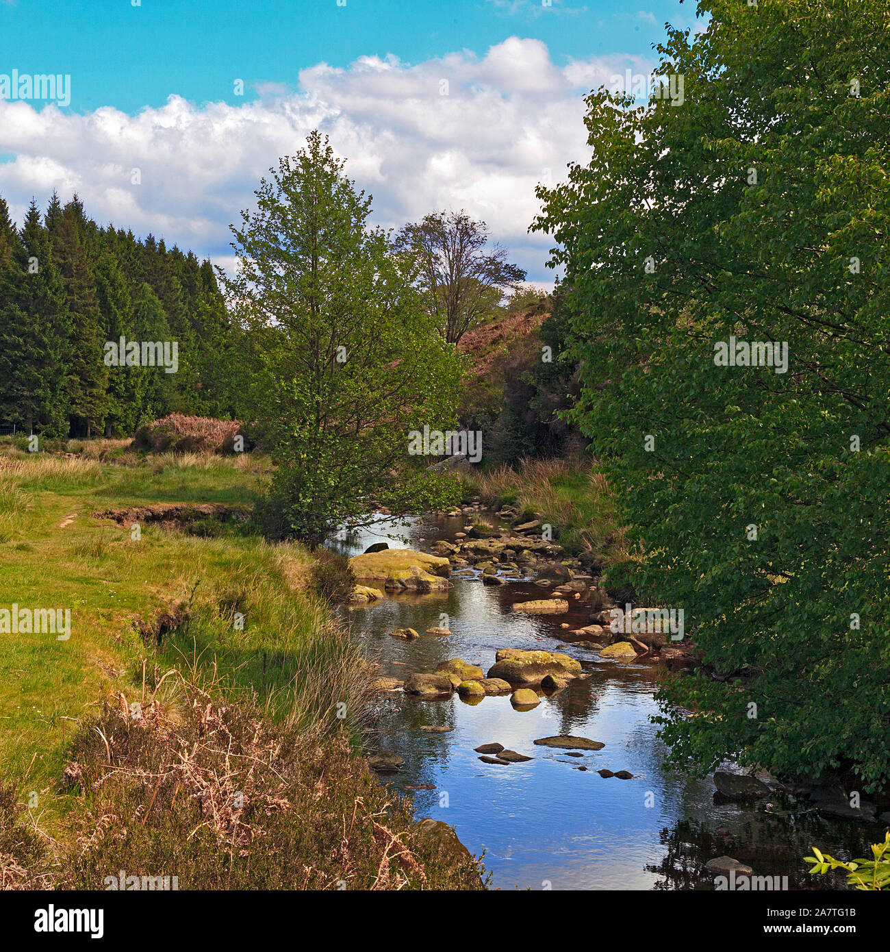 Wheeldale Gill stream by Newtondale Forest on the North York Moors by ...