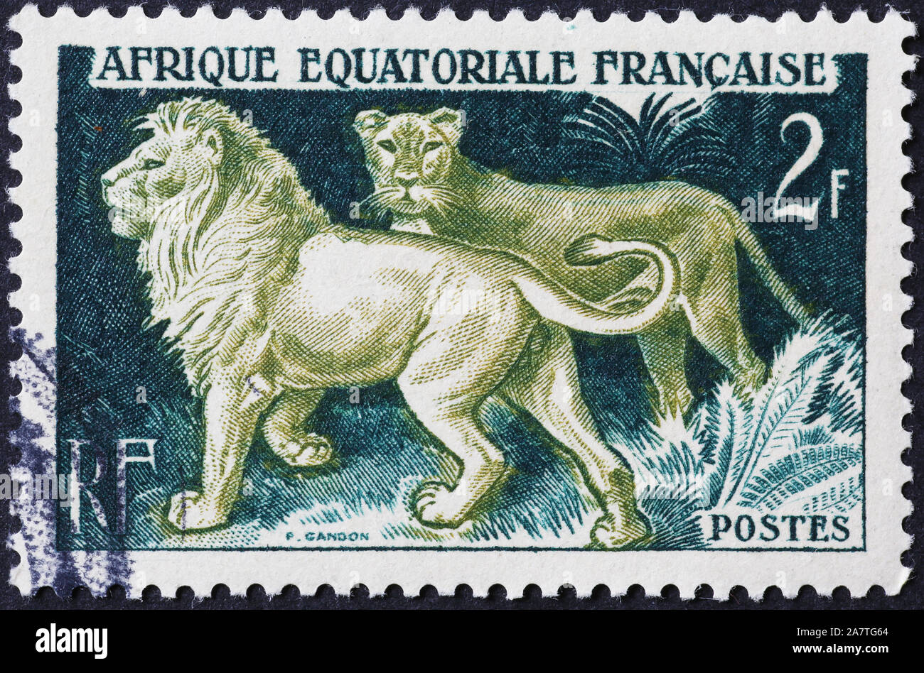 Couple of lions on vintage african postage stamp Stock Photo - Alamy