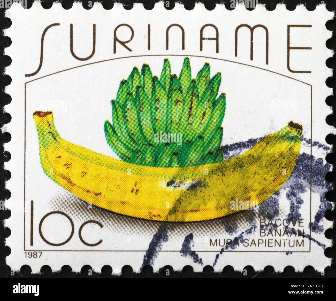 Suriname postage stamp hi-res stock photography and images - Alamy