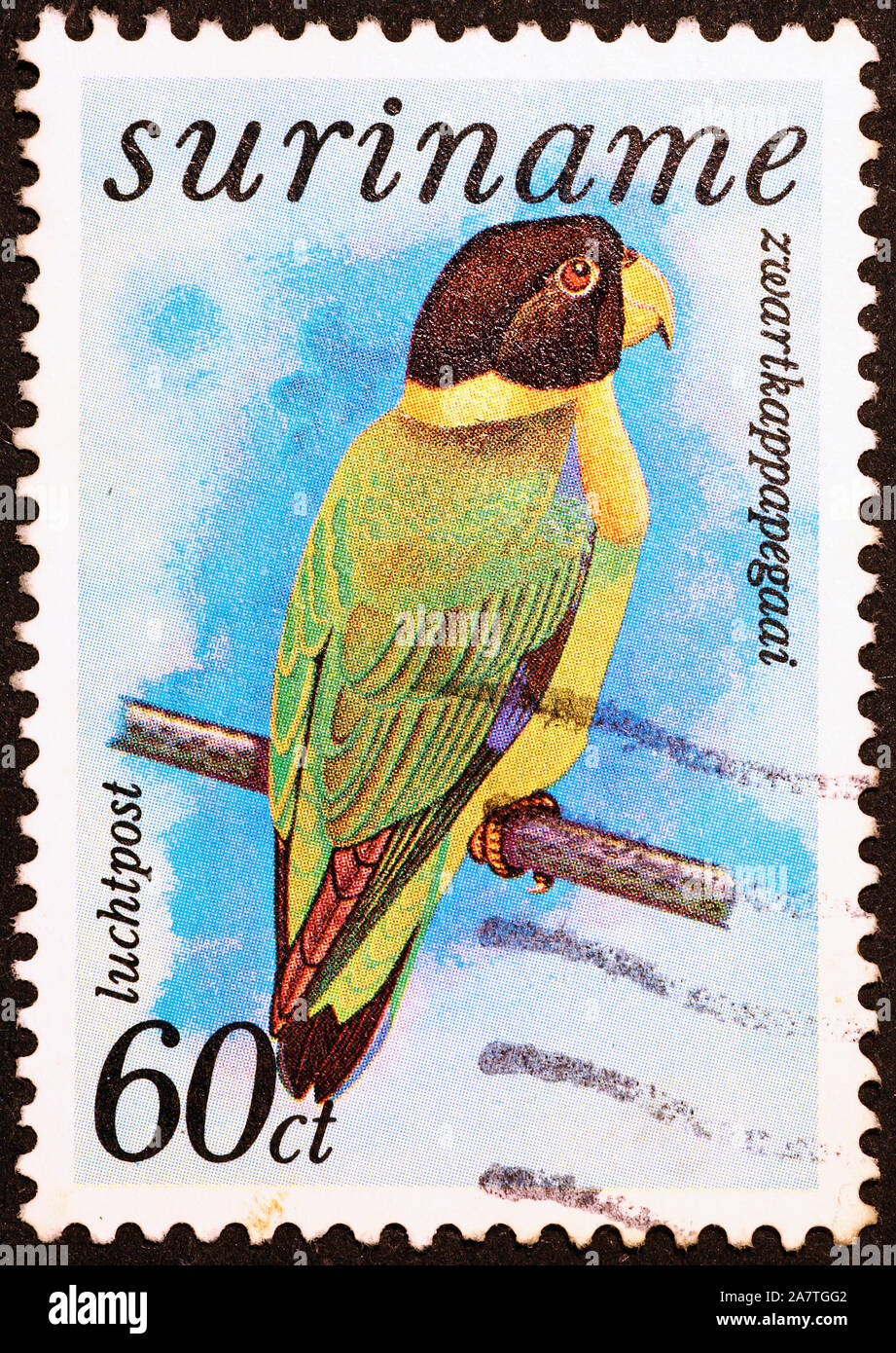 Black-headed parrot on postage stamp of Suriname Stock Photo - Alamy