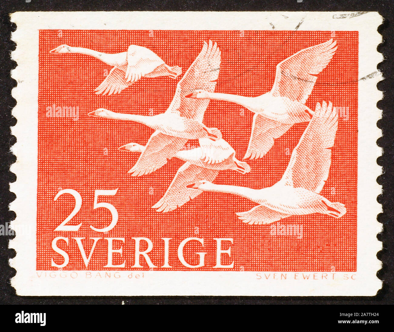 Swedish Birds High Resolution Stock Photography and Images - Alamy