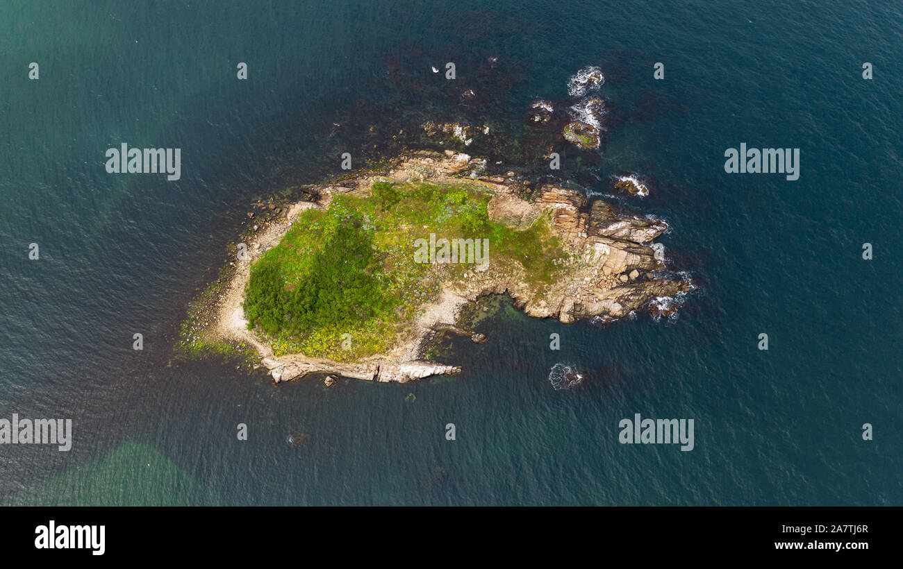 Snake Island Brazil Map