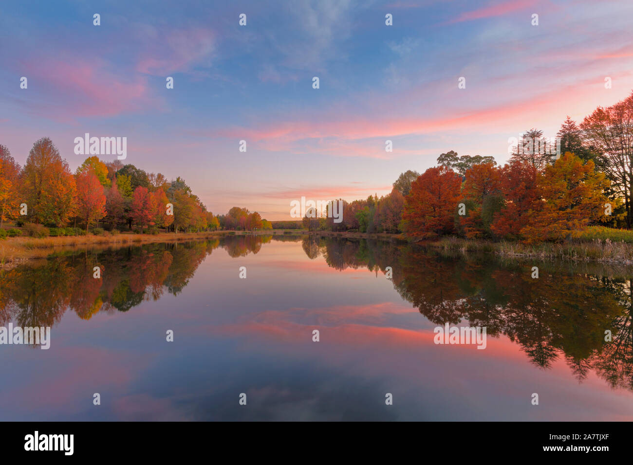 Autumn colours and sunset colours Stock Photo - Alamy