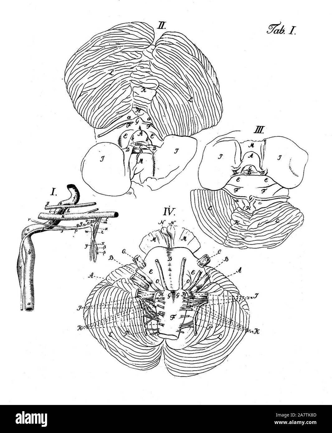 Christian psychology hi-res stock photography and images - Alamy