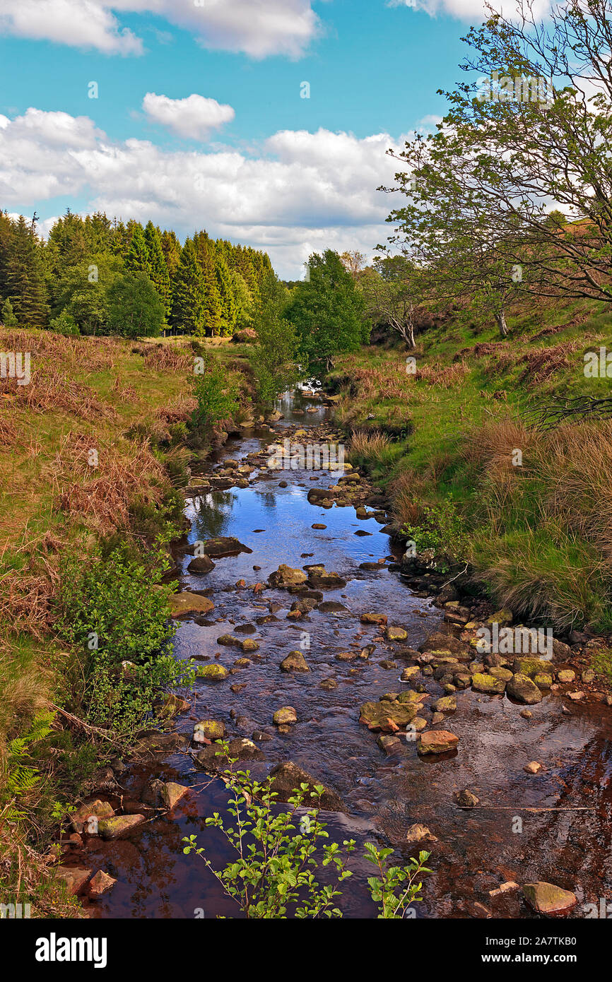Wheeldale Gill stream by Newtondale Forest on the North York Moors by ...