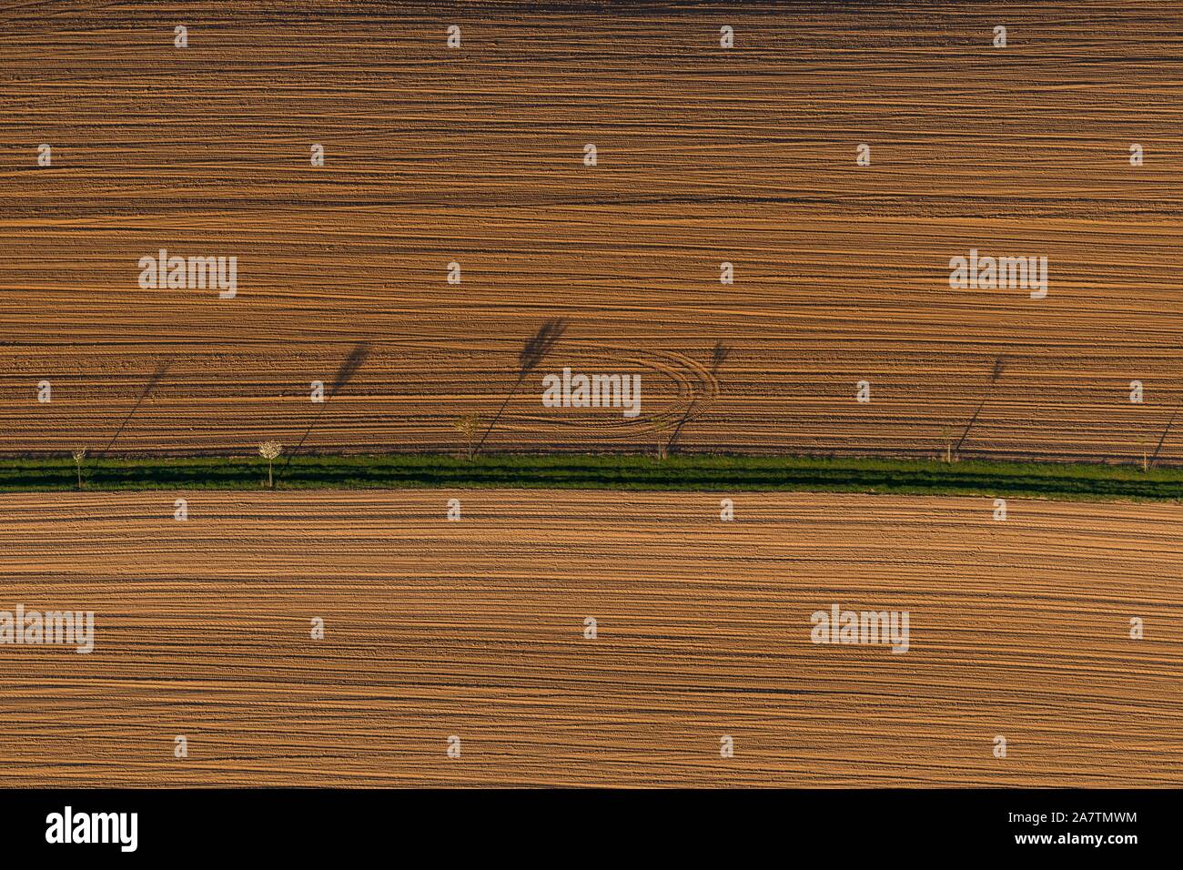 Sown fields hi-res stock photography and images - Alamy