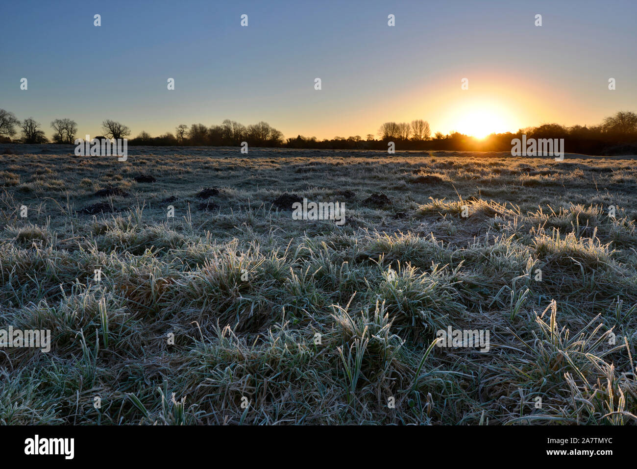 Cow Common, Chilbolton, Hampshire Stock Photo - Alamy