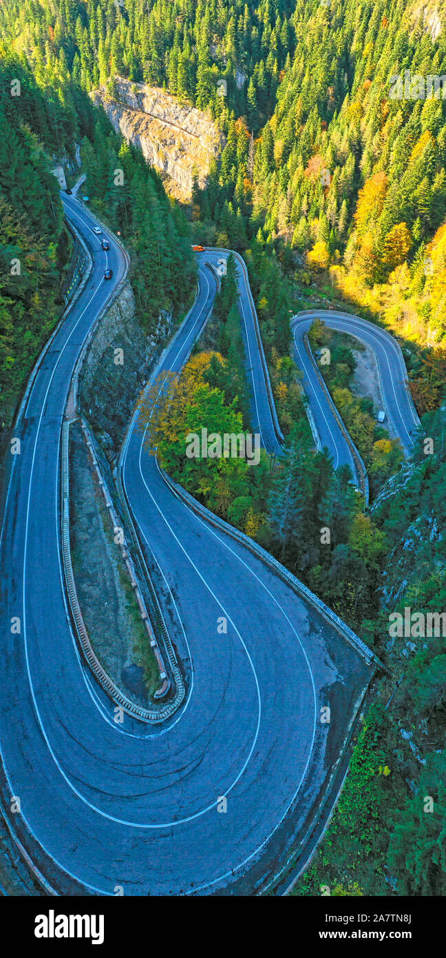 Wide angle serpentine road in green forest Stock Photo - Alamy