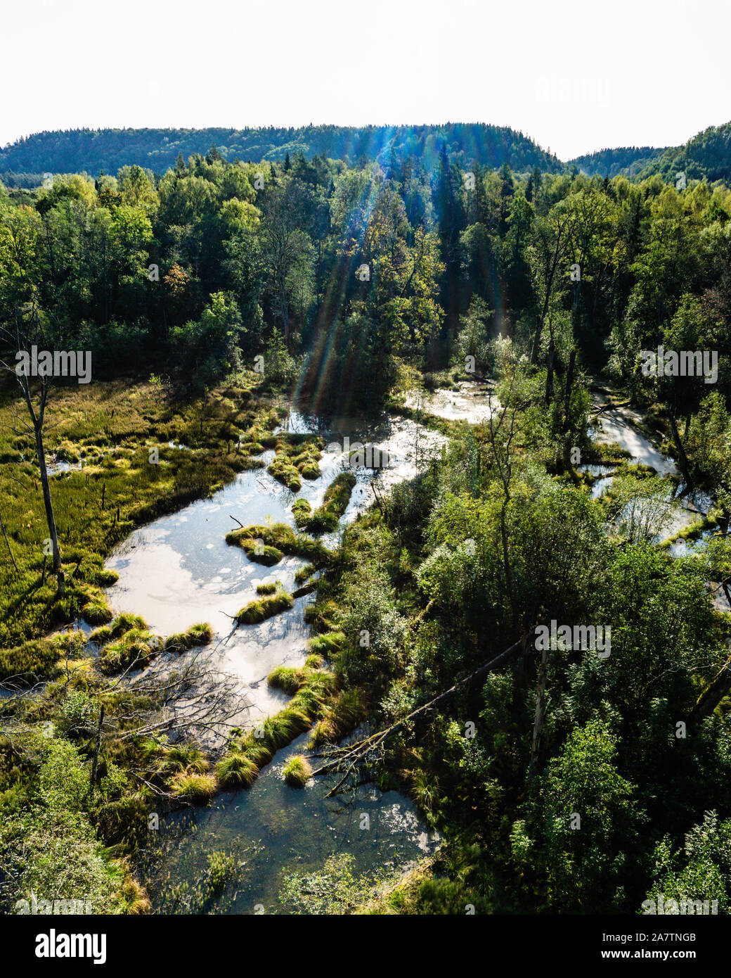 Warm colored late sunrise over wet swamp area. Landscape view near ...